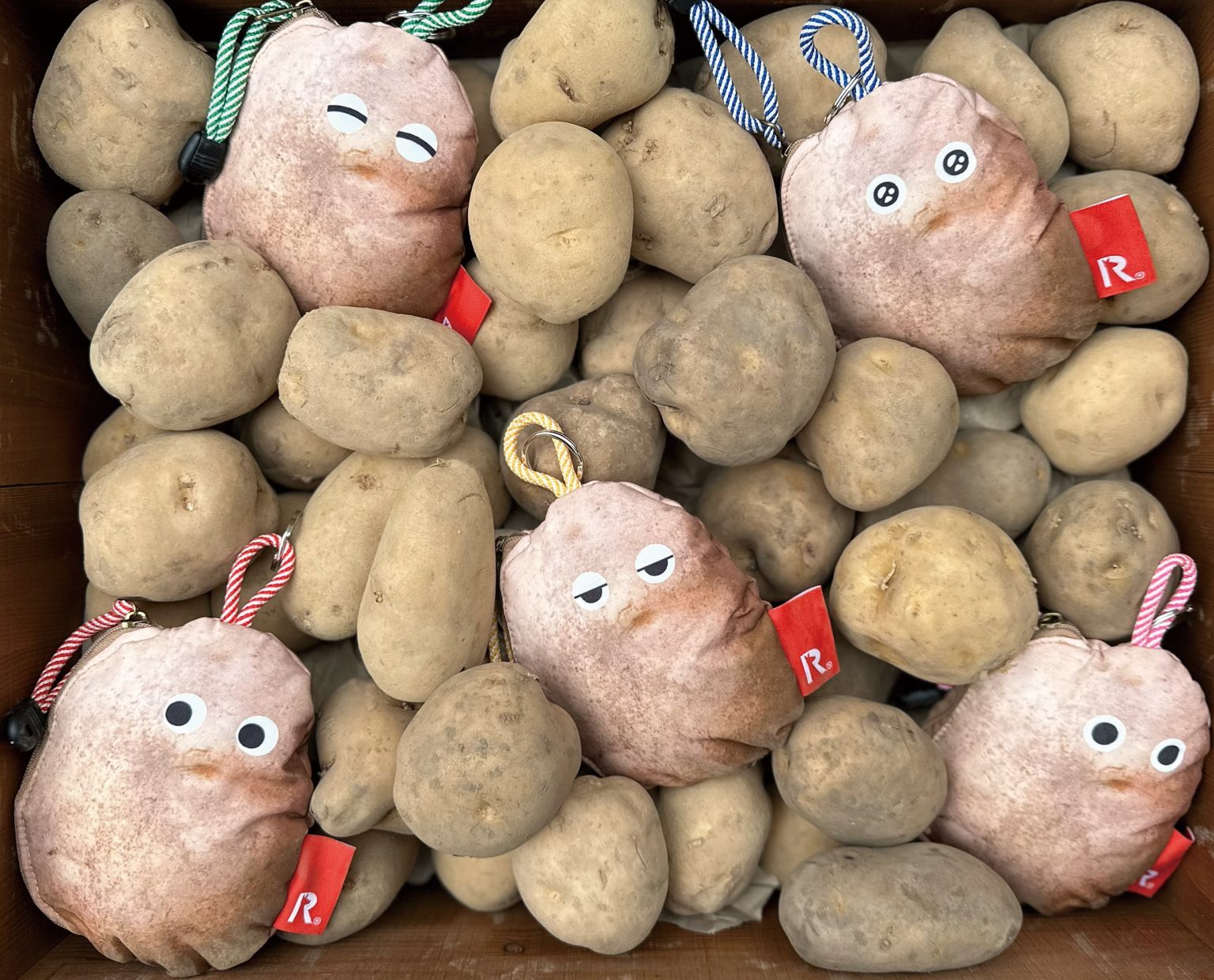 スナック菓子をこよなく愛する〈スナックラヴァー〉を応援。一緒にお出かけすれば気分もアガる！カルビー×ROOTOTE スナックトート＆ポテトポーチ | ROOTOTE(ルートート)